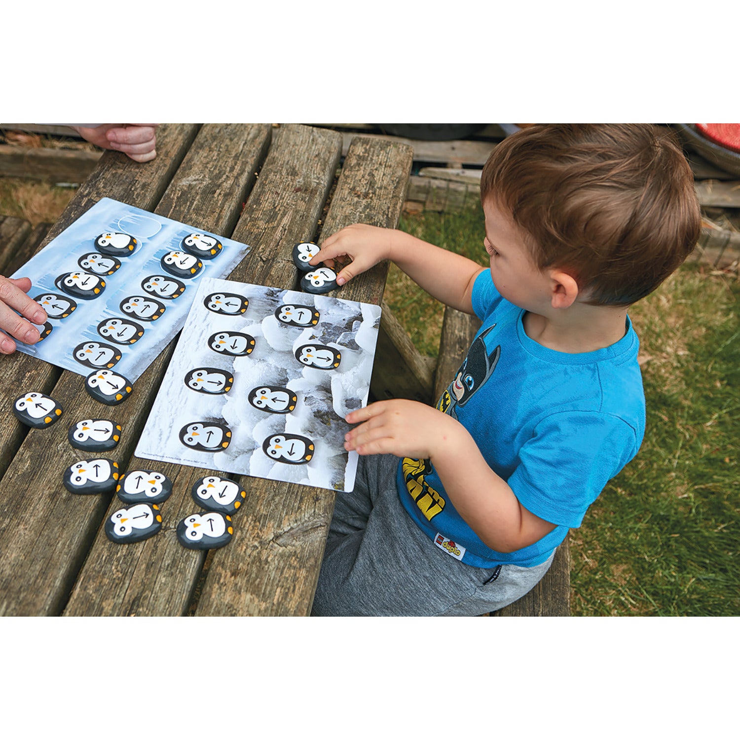 Pre-Coding Penguin Activity Cards