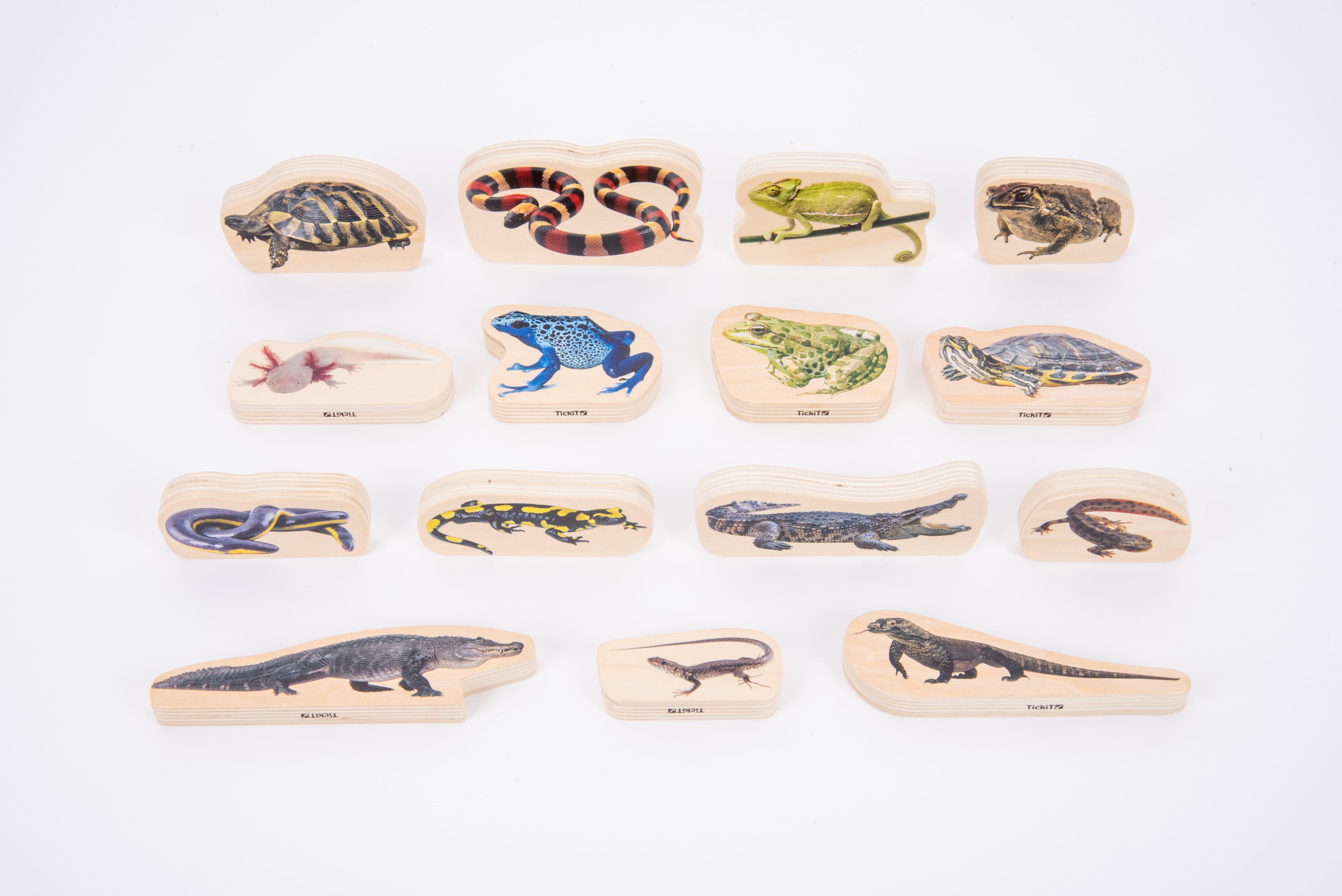 WOODEN REPTILE & AMPHIBIAN BLOCKS