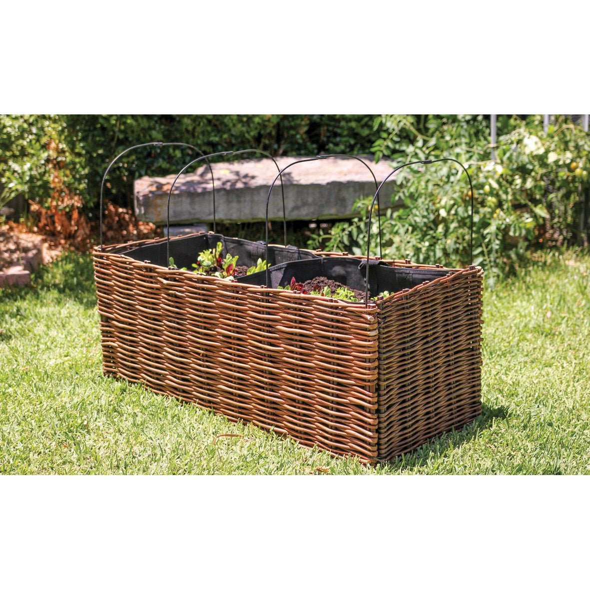 Willow Planter with Liner